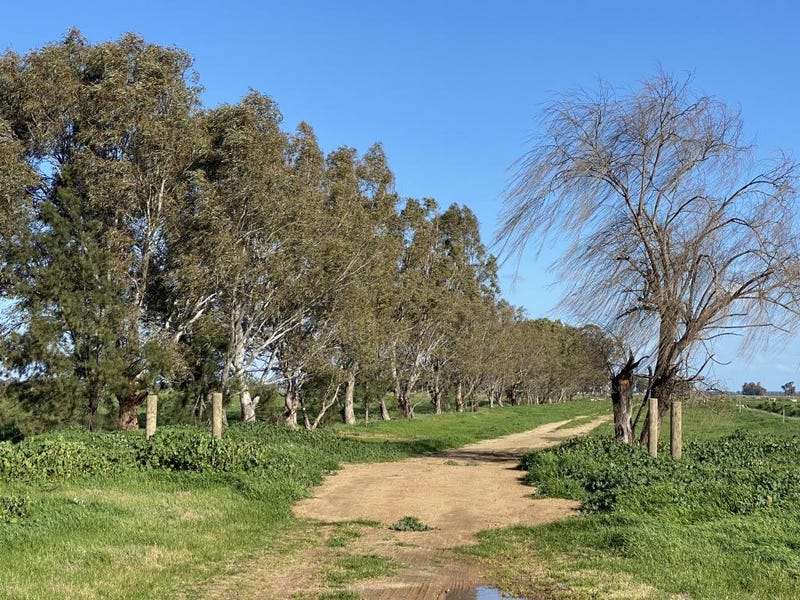 15955 Riverina Highway, Finley, NSW 2713 - realestate.com.au