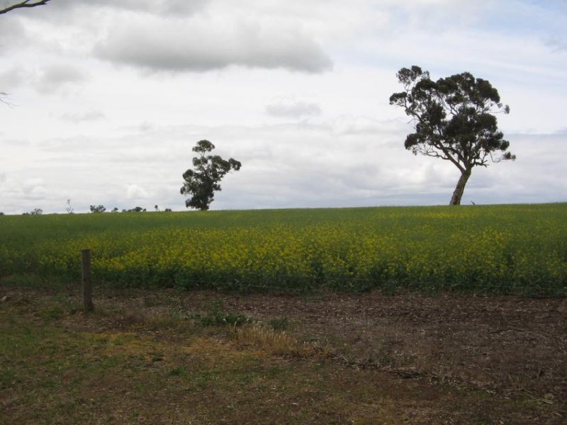 . Dukes Hwy, Bordertown, SA 5268 - Property Details