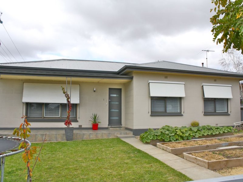 1 Moore Street, Naracoorte, SA 5271 - Property Details