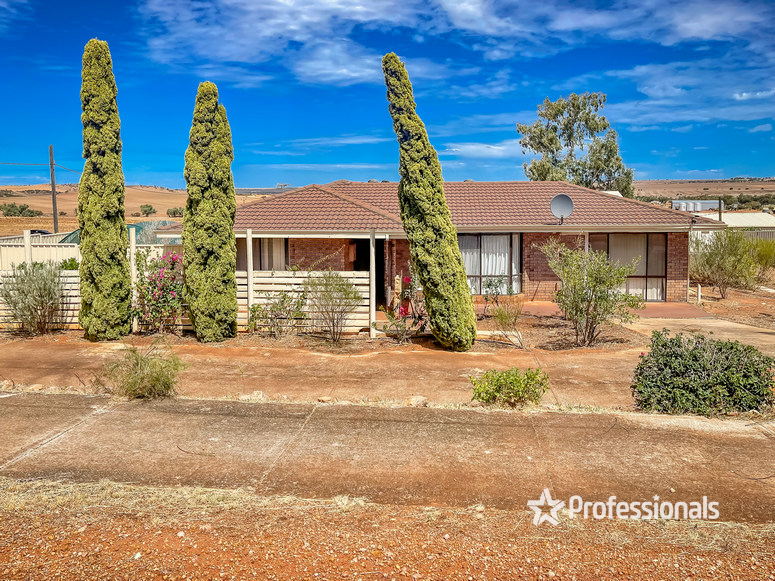 32 Indialla Road, Nabawa, WA 6532 - Property Details