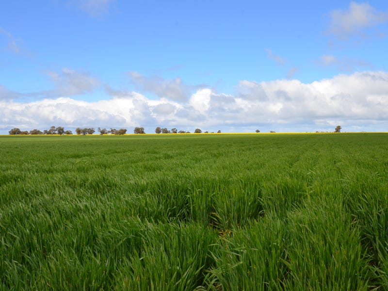 3669 Wimmera Highway, Marnoo, VIC 3387 - realestate.com.au