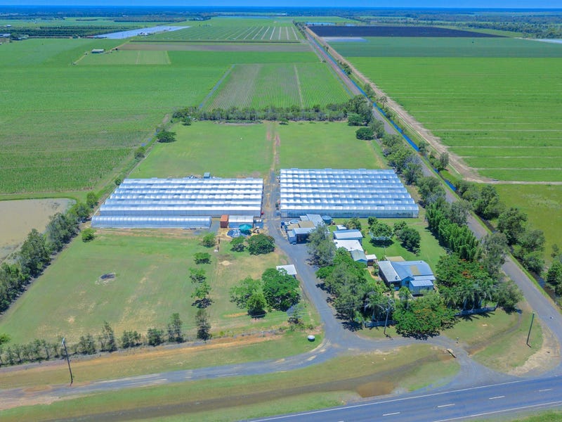 4248 Goodwood Road, Alloway, Qld 4670 - Property Details