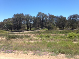 LOT 13 TULLAGRIE ROAD, Tara, Qld 4421 - Property Details