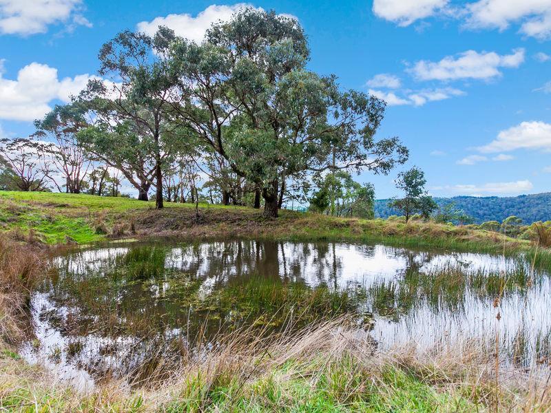 575 Deans Marsh-lorne Road, Deans Marsh, VIC 3235 - realestate.com.au