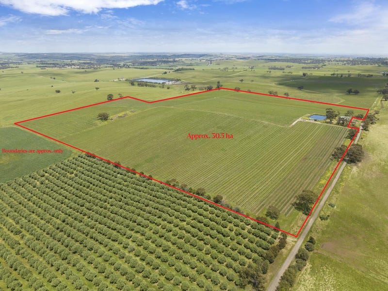 Lot 54 Tank Road, Auburn, SA 5451 - Lifestyle for Sale - realestate.com.au