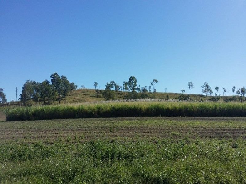 50 Dunwold-Cattle Creek Road, Gargett, Qld 4741 - Property Details