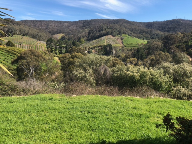 819B Montacute Road, Montacute, SA 5134 - realestate.com.au