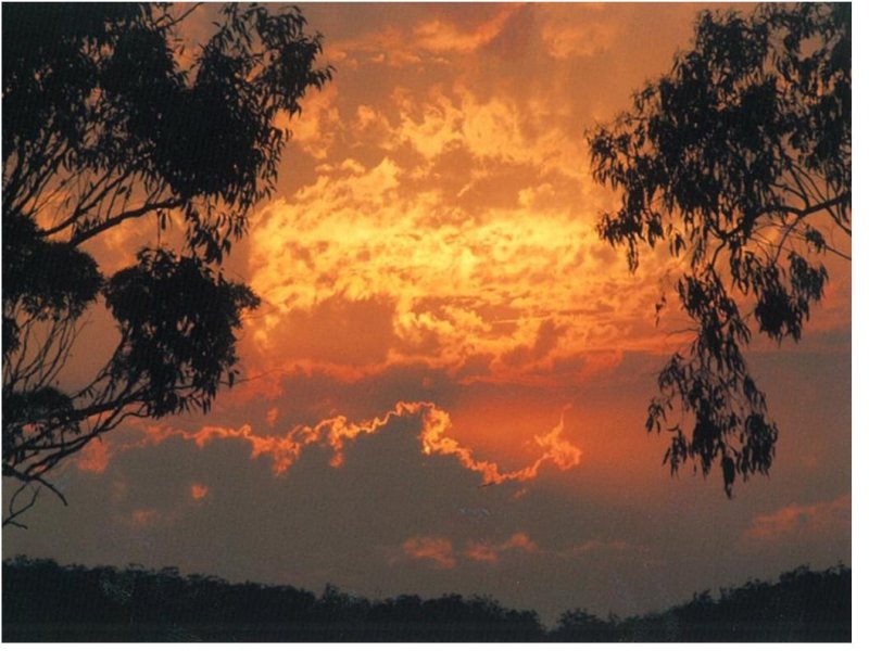 Property 7496963, Drake, NSW 2469 - Property Details