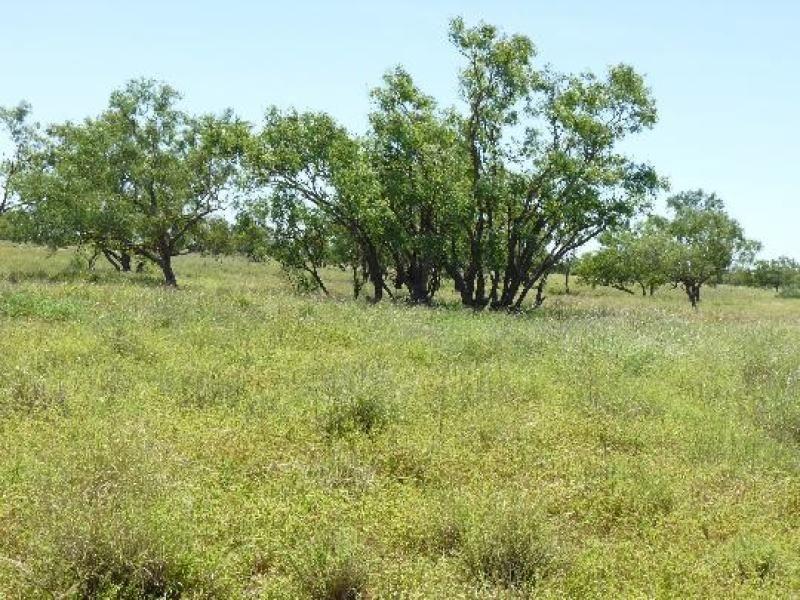 Property 7279191, Corfield, Qld 4733 - Property Details