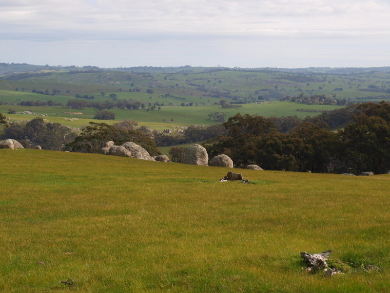 950 Lancefield Pyalong Road, Lancefield, Vic 3435 - Property Details