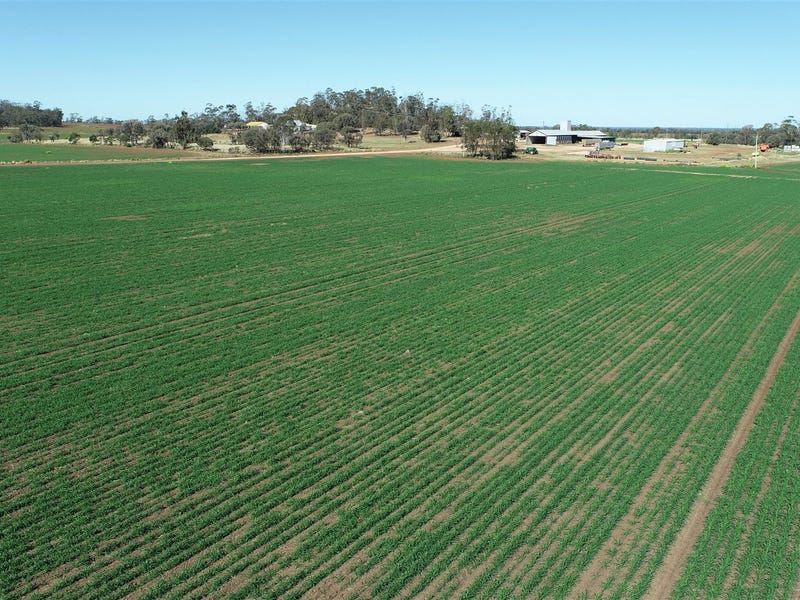 Property 700148534, Toobeah, Qld 4498 - Property Details