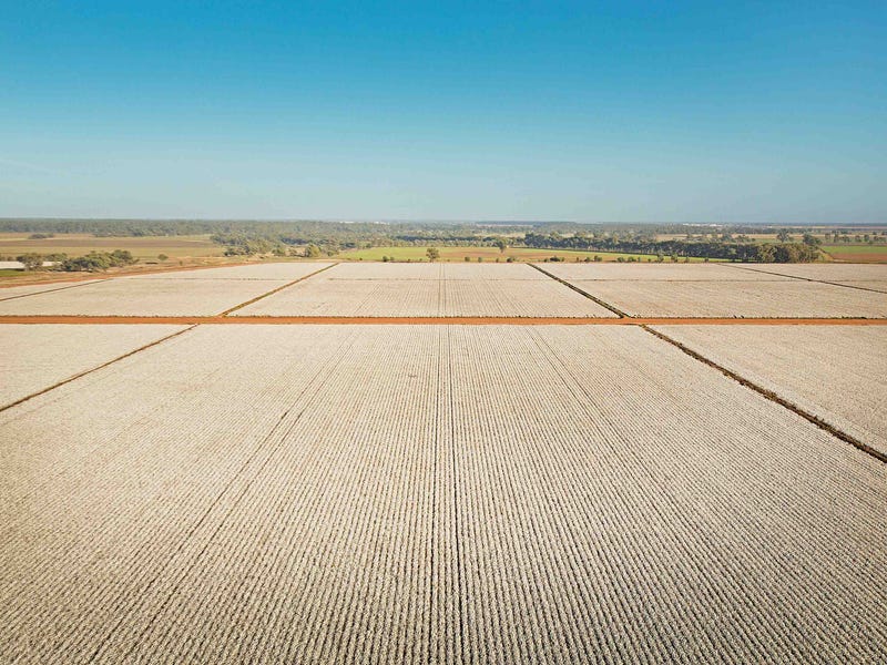 Property 700292148, Whitton, NSW 2705 - Property Details