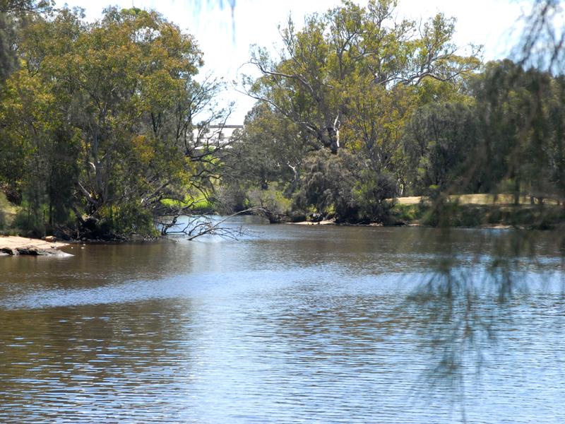 33 Bernley Drive, Viveash, WA 6056 - realestate.com.au