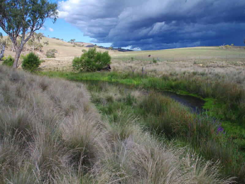 Little Plains Road, Bombala, NSW 2632 - Property Details
