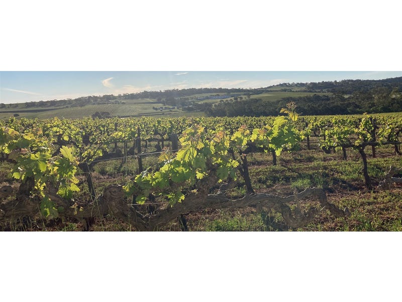 7022 Horrocks Highway, Leasingham, SA 5452 - Property Details