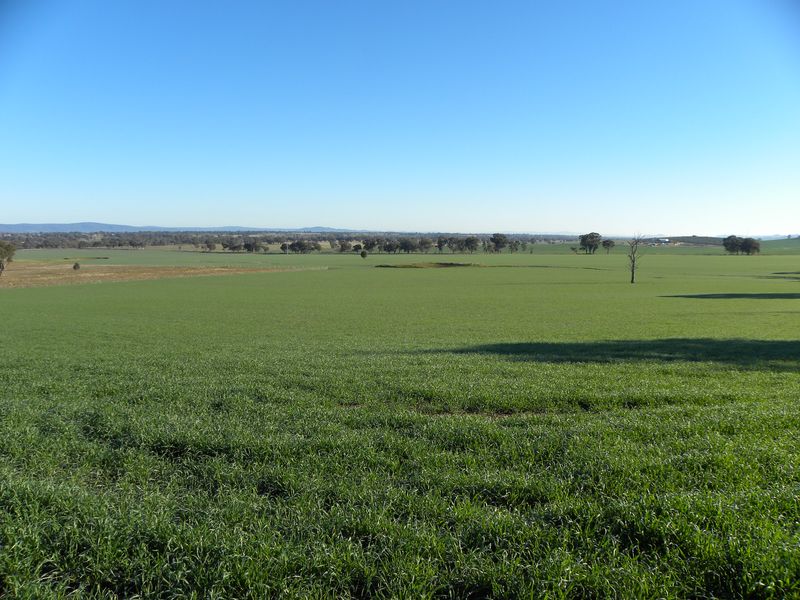 6540 Lachlan Valley Way, Cowra, NSW 2794 - realestate.com.au