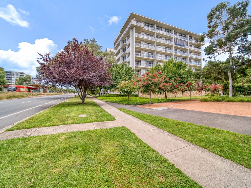 302/155 Northbourne Avenue, Turner, ACT 2612 - Apartment for Rent ...