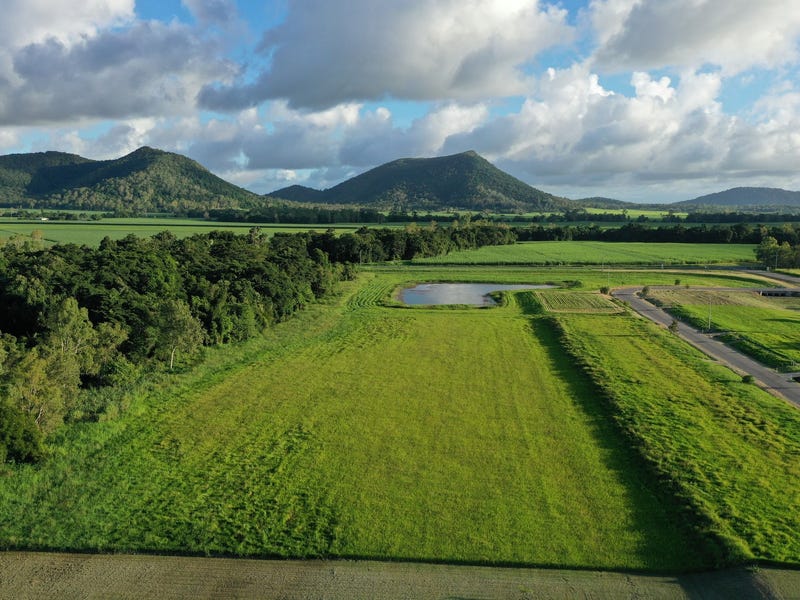 10 Nina Street, Cannon Valley, QLD 4800 - realestate.com.au