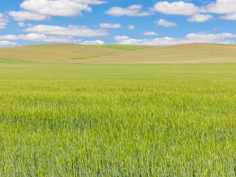 'Marshs' R M Williams Way, Andrews, SA 5454 - Property Details