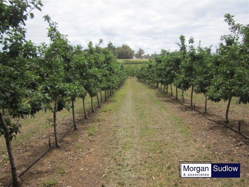 275 Springall Road, Deanmill, WA 6258 - Property Details