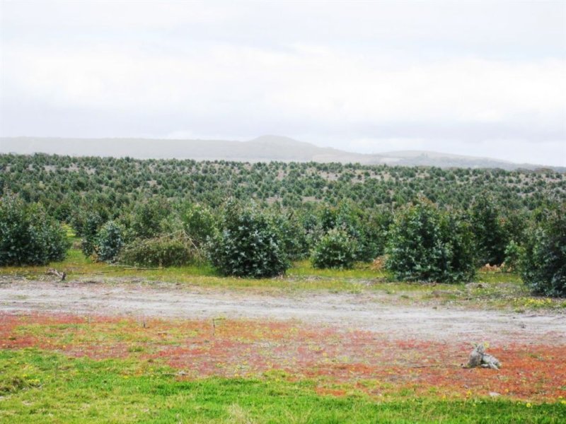 1170 Venns Road, Wellstead, WA 6328 - Property Details