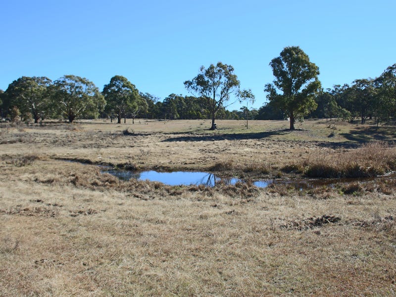 1331a Mount Mackenzie Road, Tenterfield, NSW 2372 - Property Details