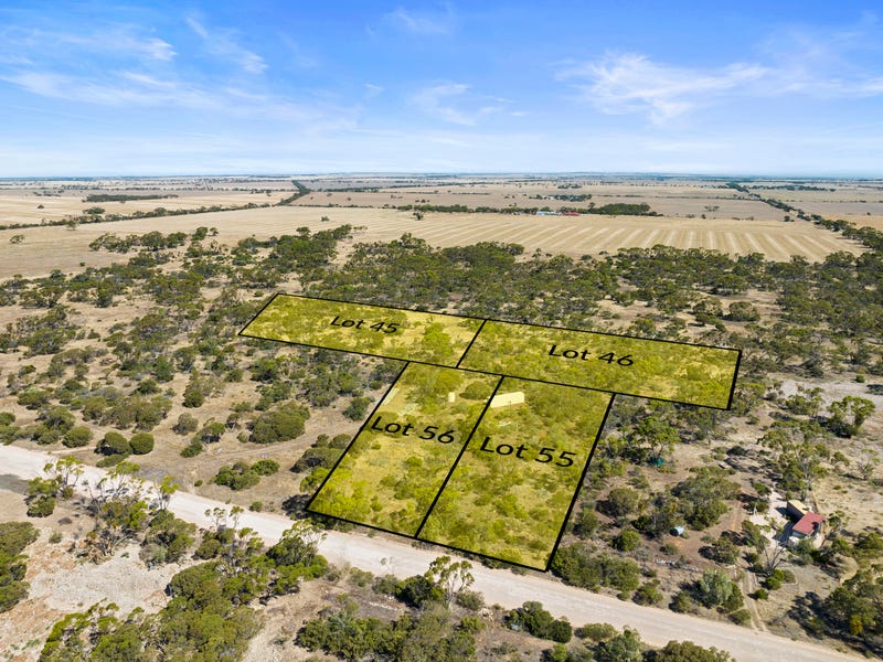 Lots 46 & 55 Bussenschutt Road ( Third Street ), Cunliffe, SA 5554 ...