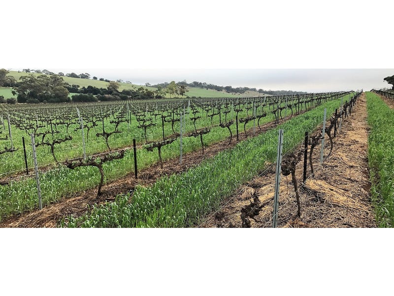 6 Williams Road, Leasingham, SA 5452 - Property Details