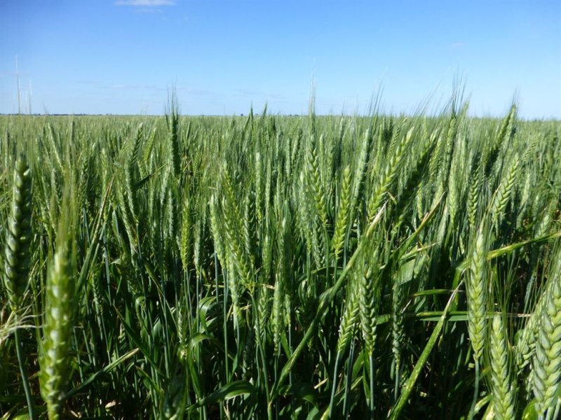 106 Glenlee road, Gerang Gerung via, Horsham, Vic 3400 - Property Details