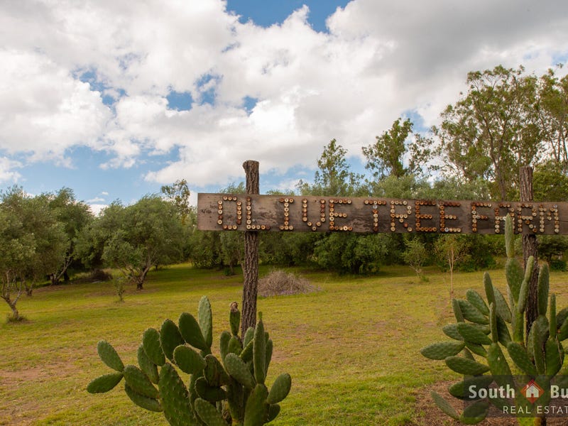 79 Pamela Drive, Teelah, QLD 4314 - realestate.com.au