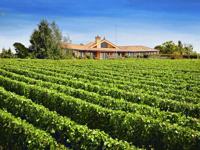 52 Paringa Road, Red Hill South, VIC 3937 - realestate.com.au