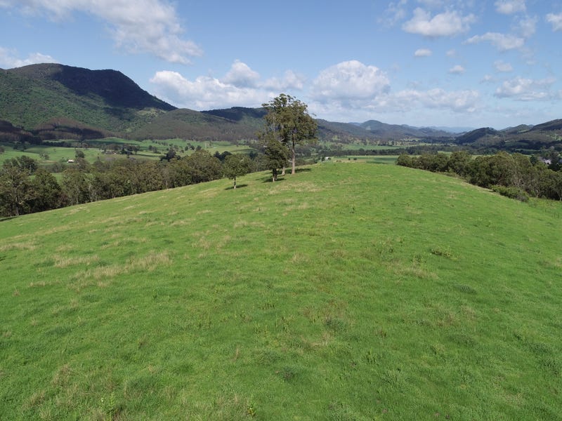 1270 Nowendoc Road, Mount George, NSW 2424 - realestate.com.au