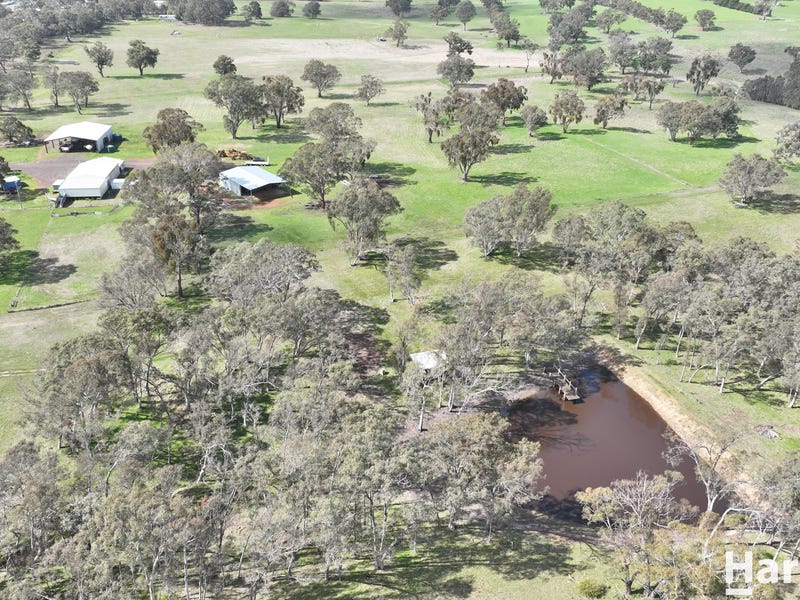 1790 Harrow-Balmoral Road, Balmoral, Vic 3407 - Other for Sale ...