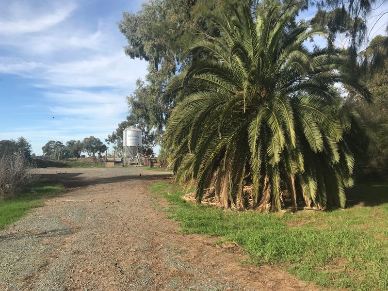 504 Dullard Road, Lockington, Vic 3563 - Property Details