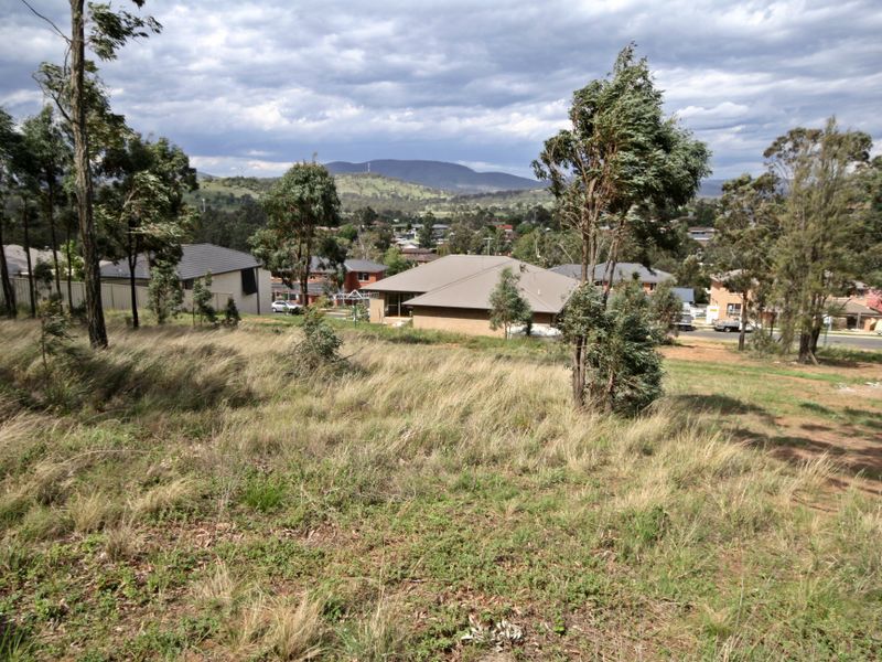 29 Lou Fisher Place, Muswellbrook, NSW 2333 - realestate.com.au