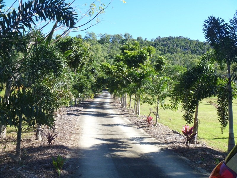 185 Paluma Road, Woodwark, QLD 4802 - realestate.com.au