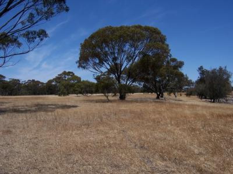 Lot 7821 Ballagin Road, Wagin, WA 6315 - Property Details