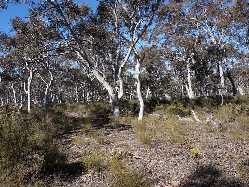 180 Nerrimunga Creek Road, Windellama, NSW 2580 - Property Details