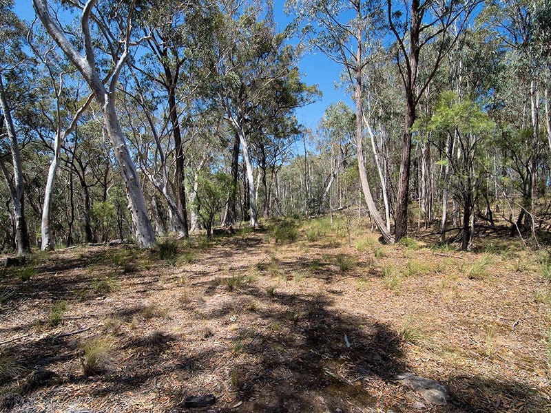 87, 257 Triangle Swamp Road, Mudgee, NSW 2850 - Property Details