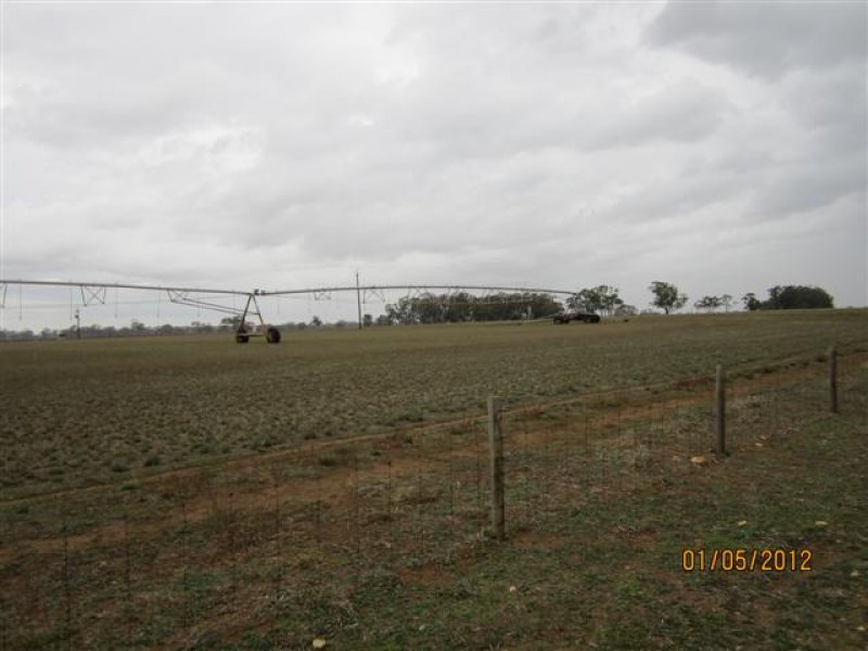 00 Langkoop Rd, Naracoorte, SA 5271 - Property Details