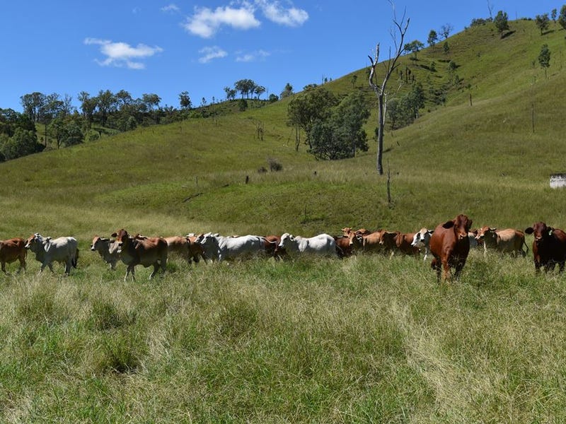 Louisavale Road, Monsildale, Qld 4515 - Property Details