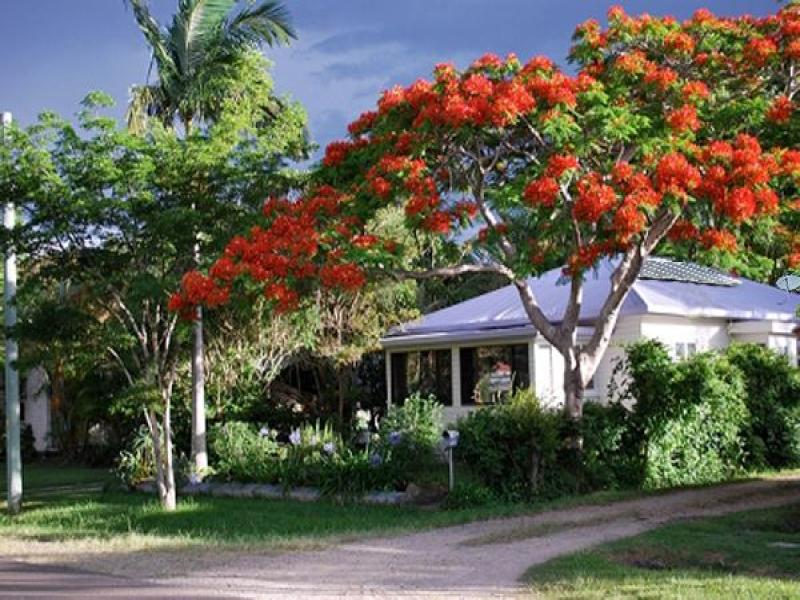 Property 113550355, Mullumbimby, NSW 2482 - Property Details