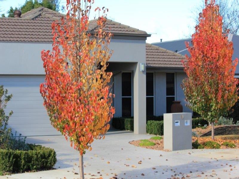 19 Mardross Court, Albury, NSW 2640 - Property Details