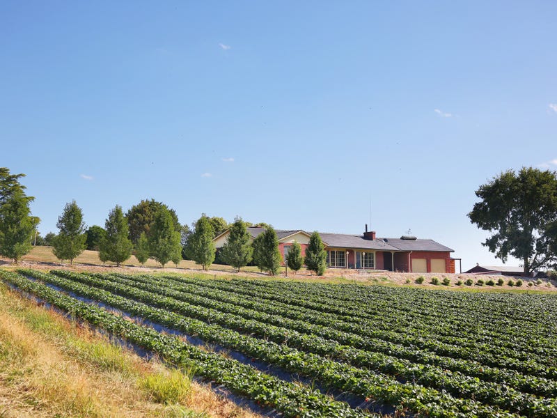 5 Lawler Lane, Coldstream, Vic 3770 - Property Details