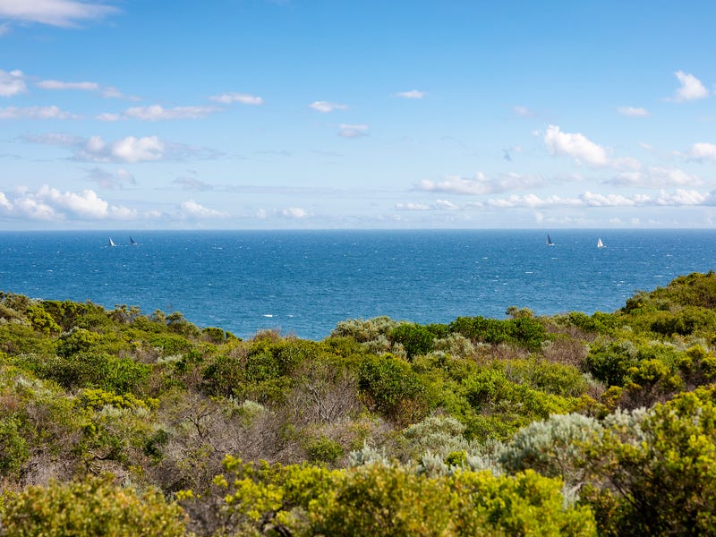 16 Paringa Road, Portsea, Vic 3944 - Property Details