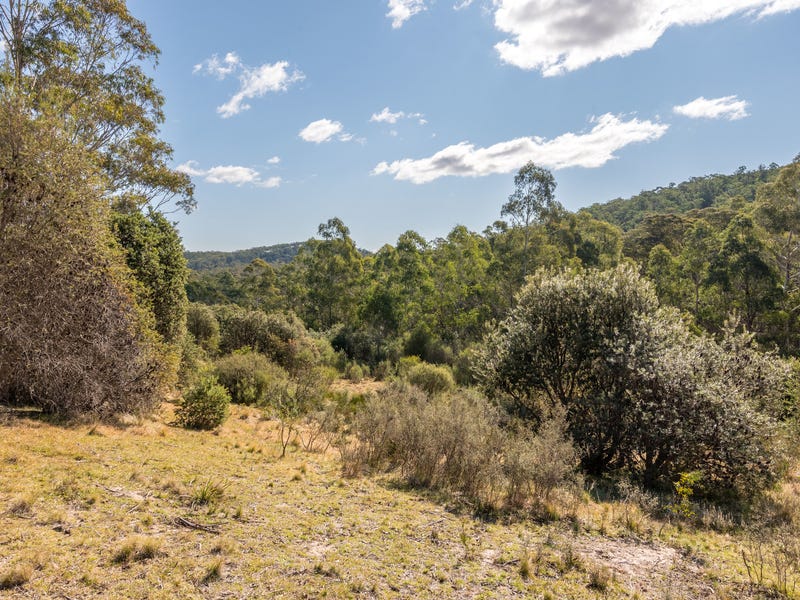153 Blue Bush Road, Wyanbene, NSW 2622 - Other for Sale - realestate.com.au