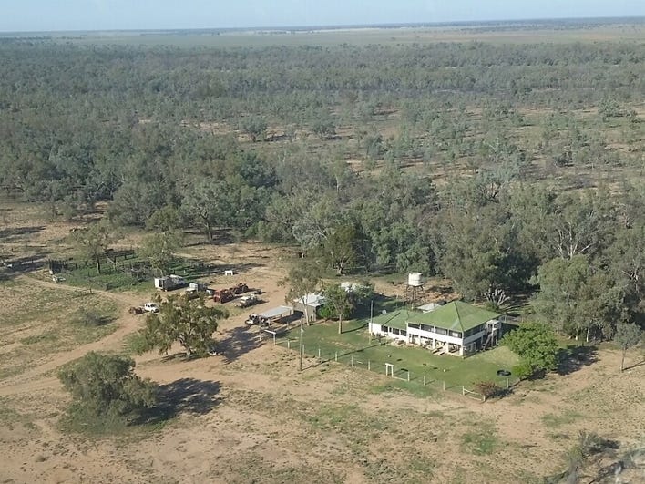 Property 7968278, Wyandra, Qld 4489 - Property Details