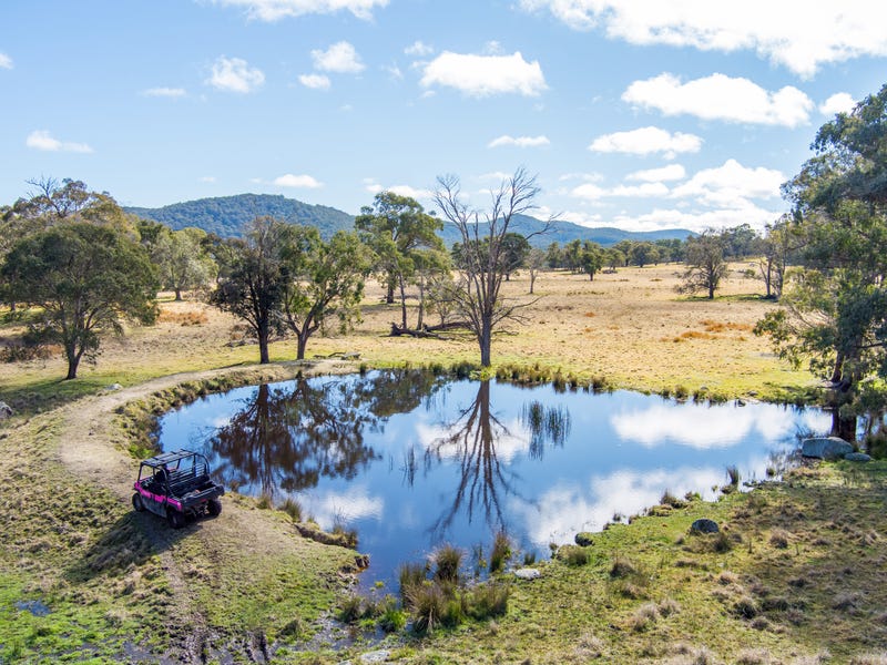 1504 Morven Road, Dundee, NSW 2370 - Property Details