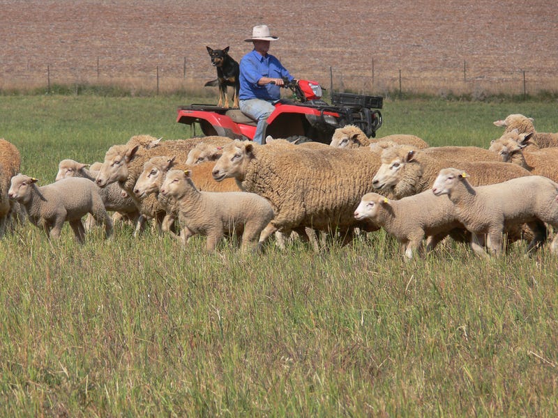 Sold Rural Prices & Auction Results in Cudal, NSW 2864 - realestate.com.au