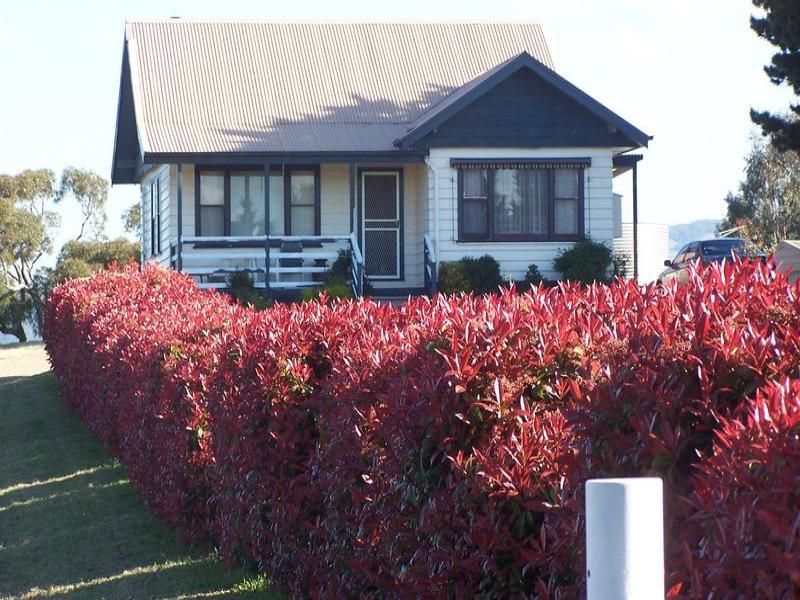 Property 106892083, Pyalong, Vic 3521 - Property Details